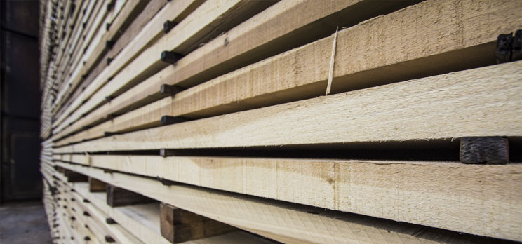 Does the EU’s Illegal Timber Law make government “timber procurement ...