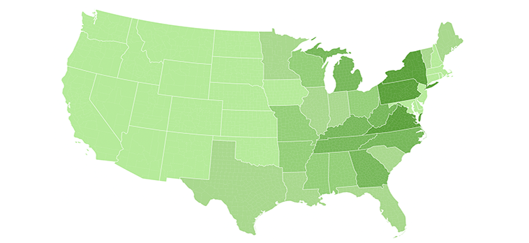 Interactive forest map