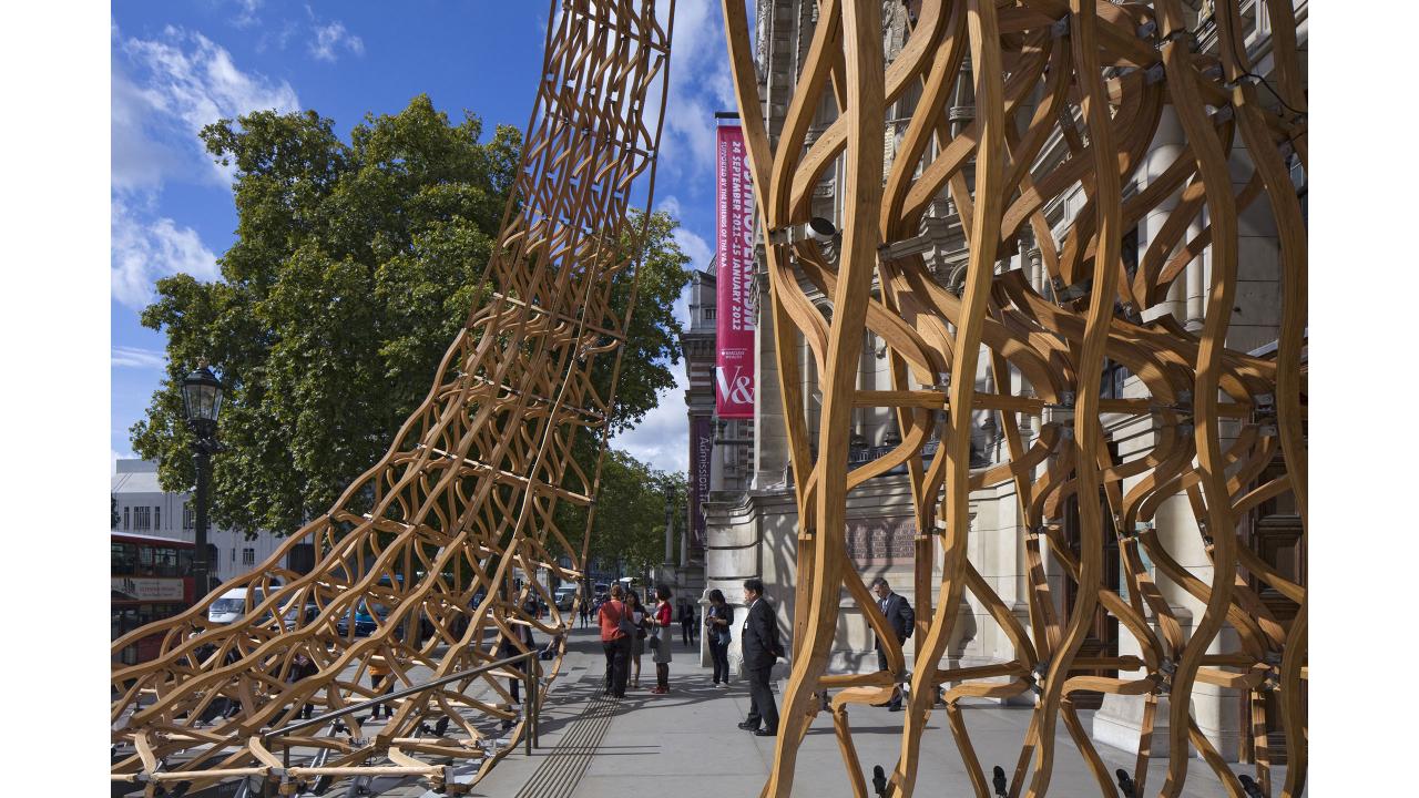 Timber Wave | American Hardwood Export Council