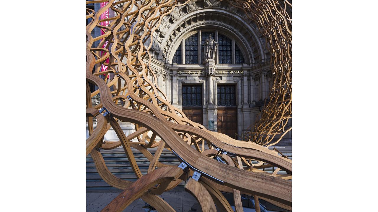 Timber Wave | American Hardwood Export Council