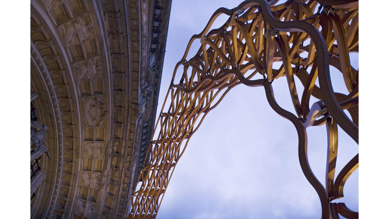 Timber Wave | American Hardwood Export Council