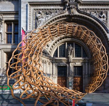 AHEC | Timber Wave | AL_A